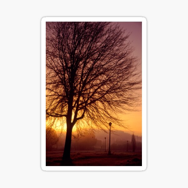 "Sunrise Fog" Sticker by jklune | Redbubble