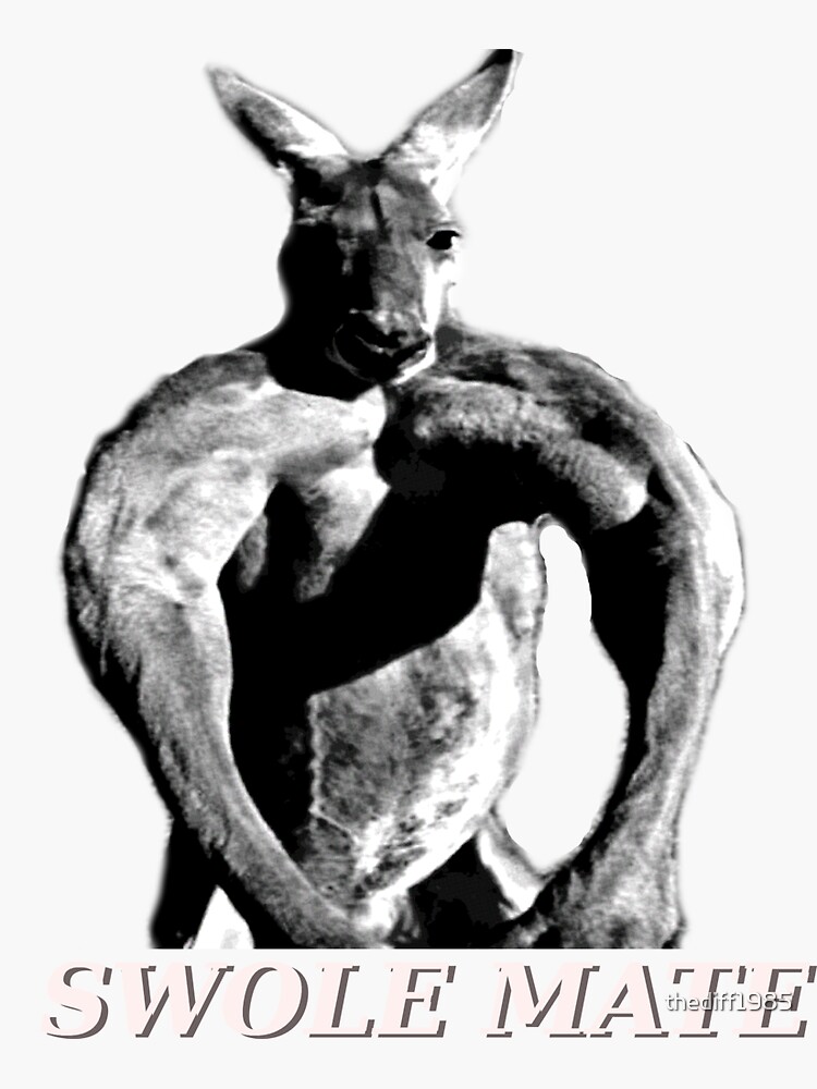 "strong kangaroo lifting swole" Sticker by thediff1985 | Redbubble