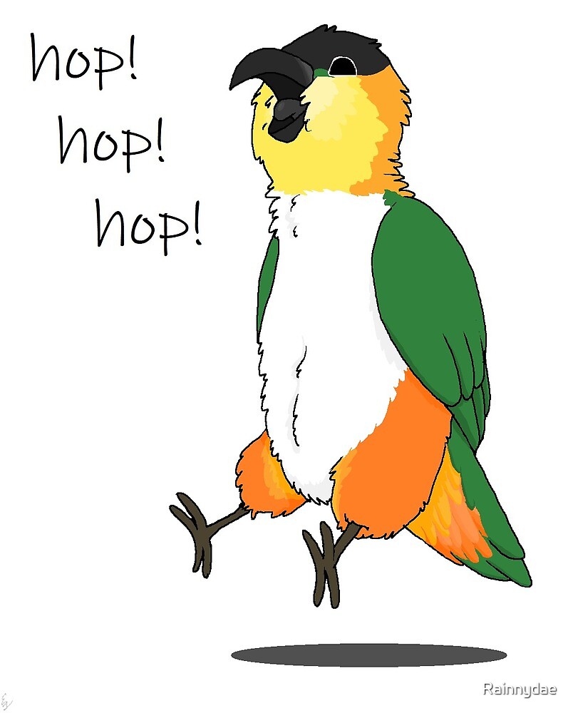 "Hop!Hop!Hop! Blackheaded Caique" by Rainnydae | Redbubble