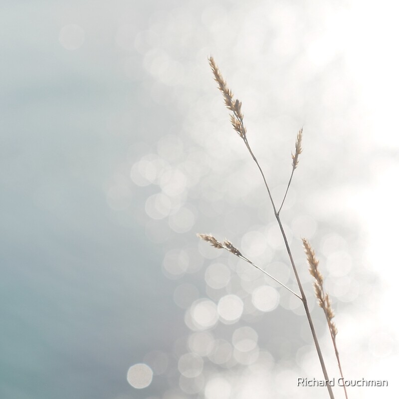 Ra Will Sparkle “" by Richard Couchman | Redbubble