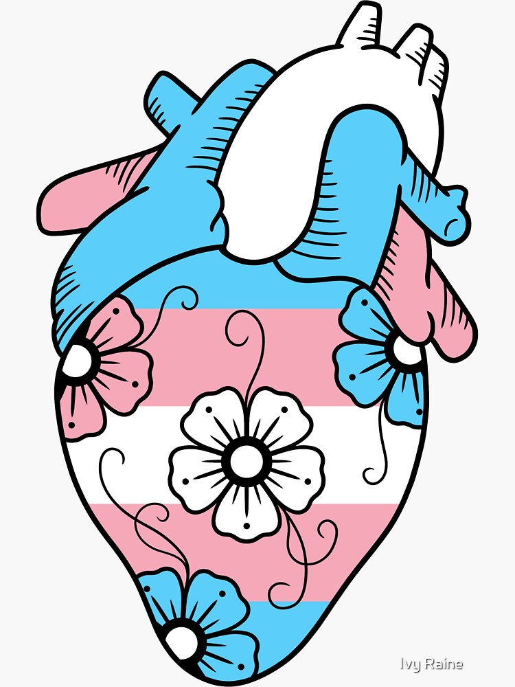 "Trans Heart" Sticker by HarleyEos | Redbubble