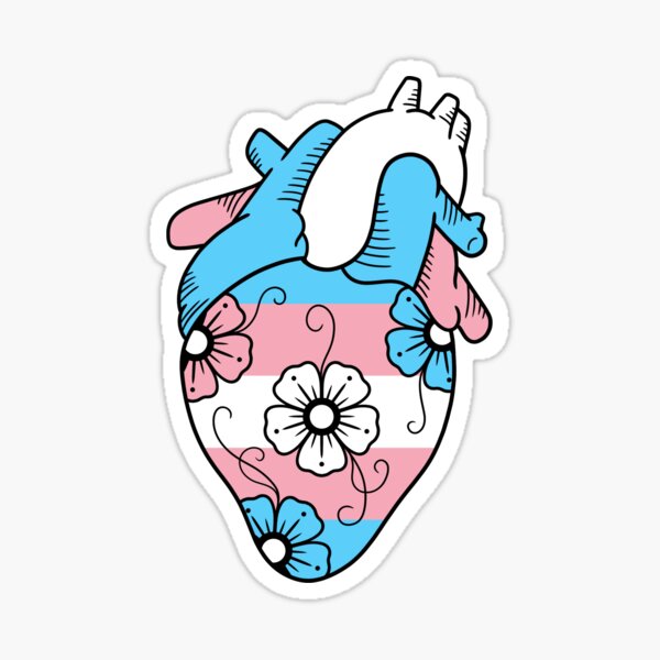 "Trans Heart" Sticker by HarleyEos | Redbubble