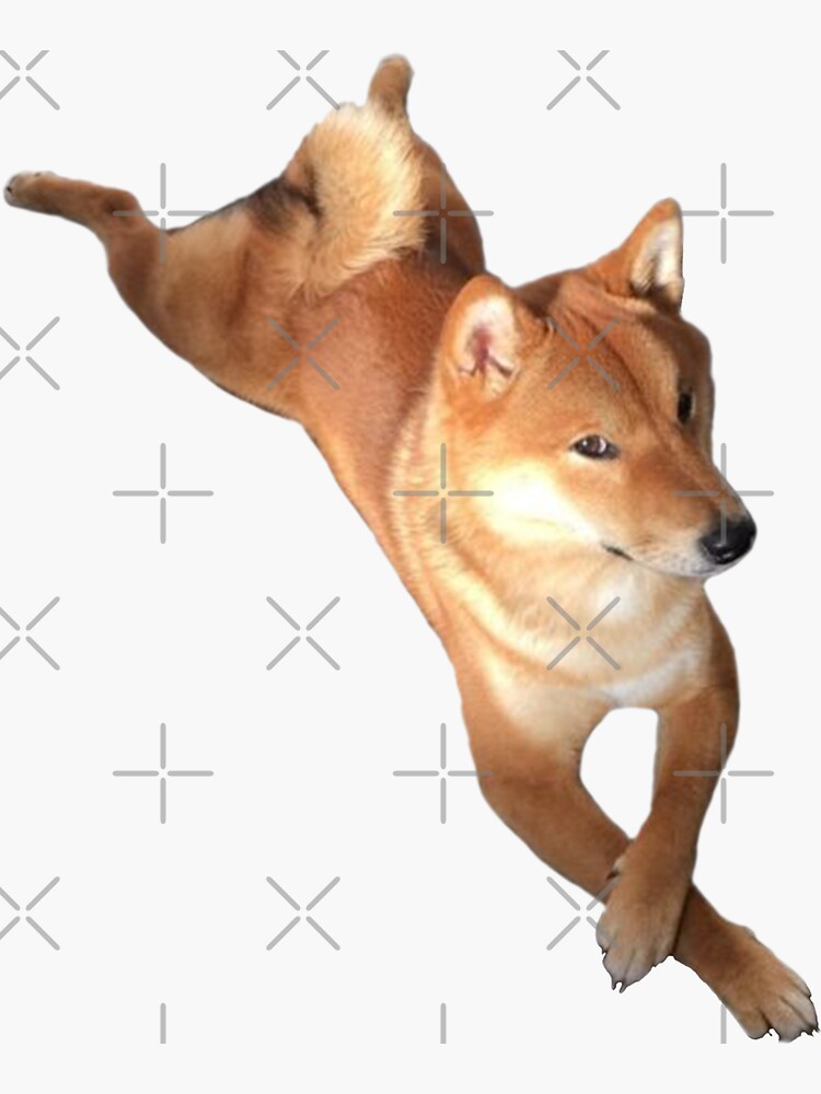 "Posing Shibe" Sticker for Sale by Elisecv | Redbubble