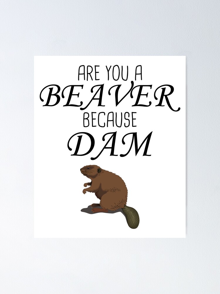 "Are You a Beaver, Because Dam" Poster for Sale by ZanzibarBarn | Redbubble