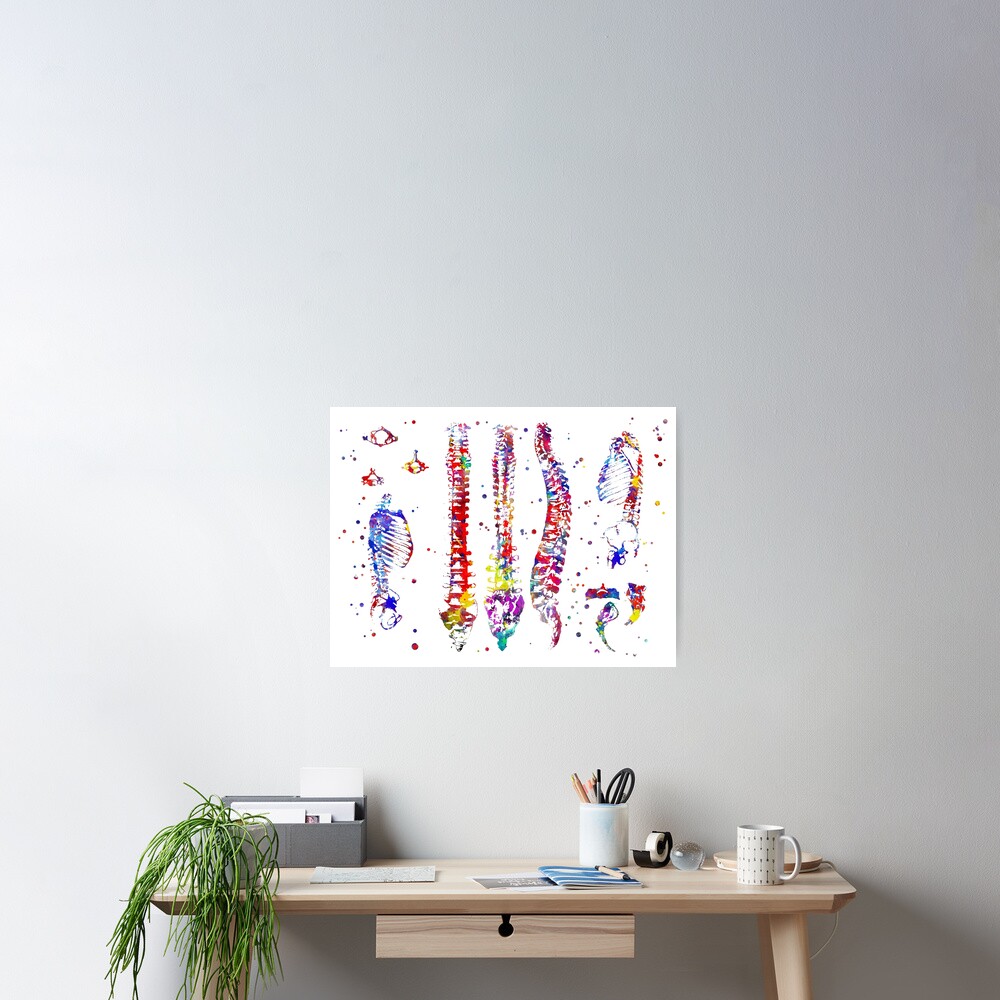 "Human anatomy bones, visual bone diagram" Poster by Rosaliartbook ...