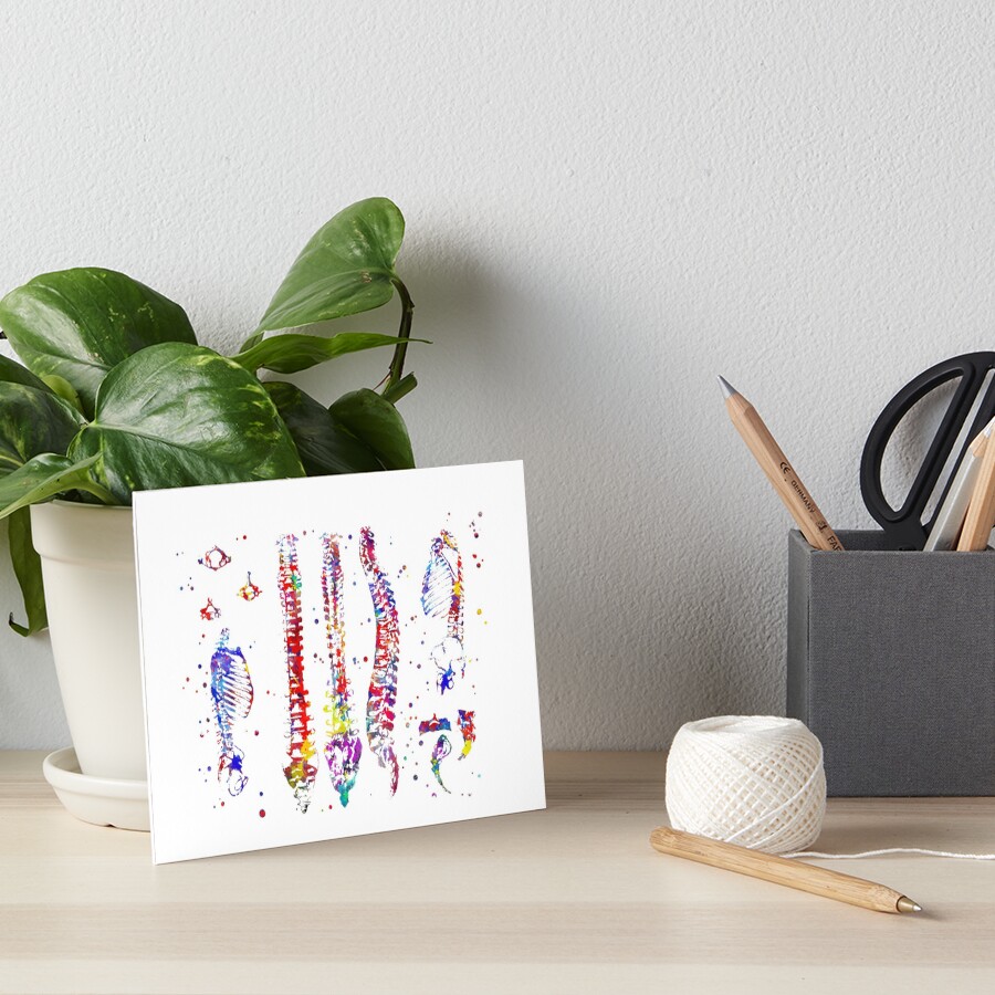 "Human anatomy bones, visual bone diagram" Poster for Sale by ...