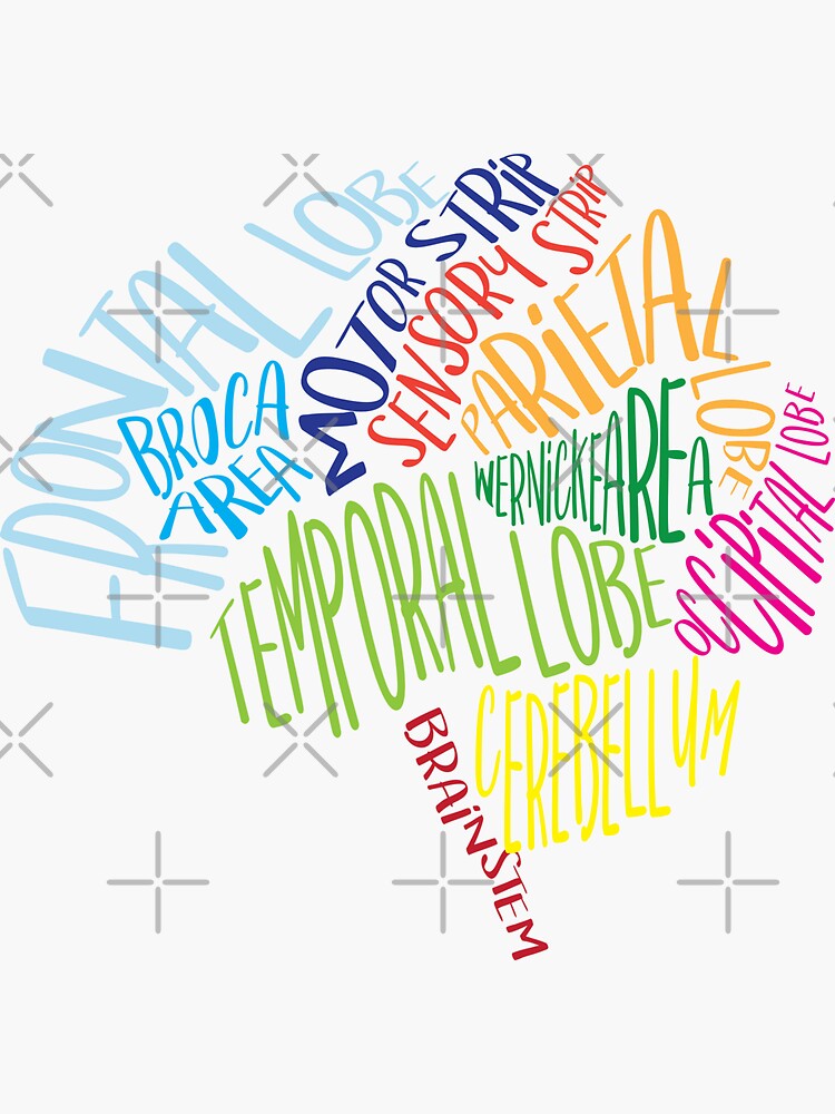 "Brain Typography Word Bubble RN Neuroscience Nurse Neurologist ...
