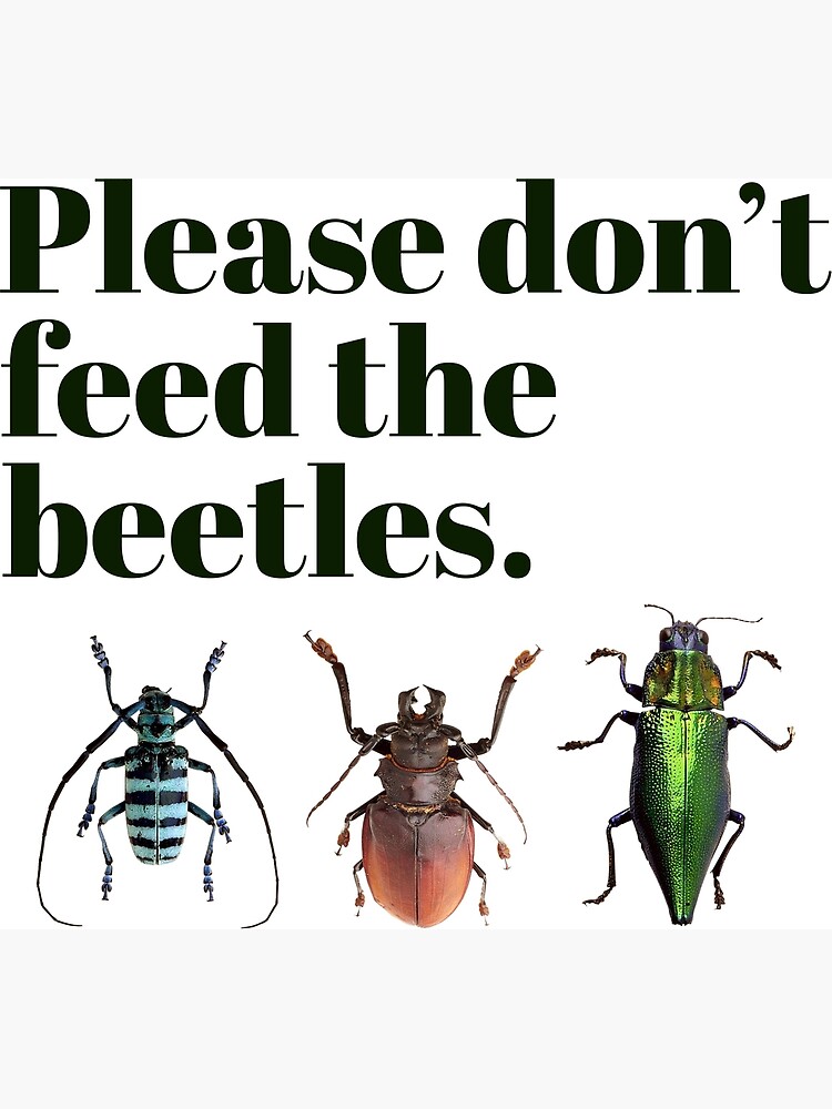 MTG: Please Don't Feed the Beetles Premium Matte Vertical Poster sold ...