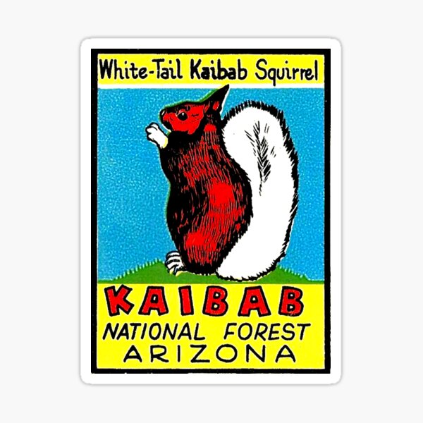 "Kaibab White Tailed Squirrel Vintage Travel Decal" Sticker for Sale by ...