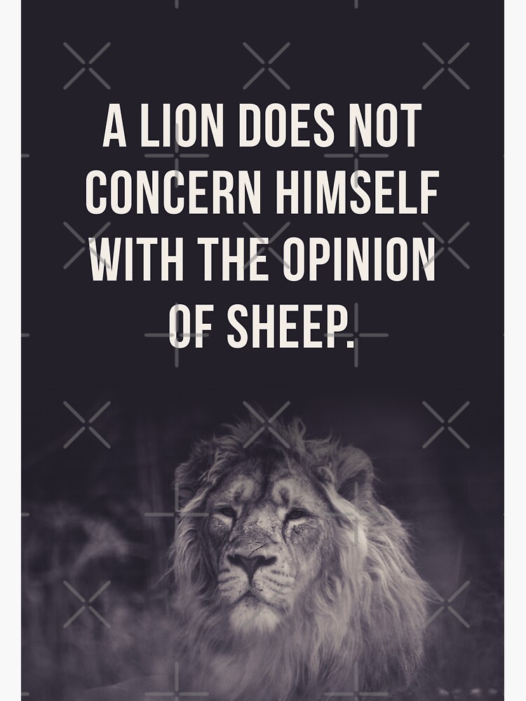 "A lion does not concern himself with the opinion of sheep" Sticker by ...