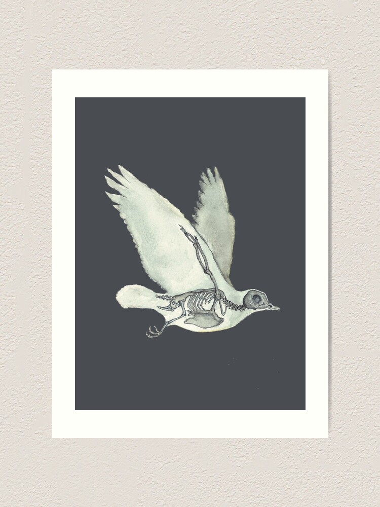 Lámina artística «Esqueleto de pájaro: anatomía de la paloma animal» de ...