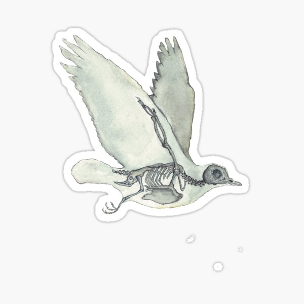 "Bird Skeleton: Animal Dove Anatomy" Sticker for Sale by ...