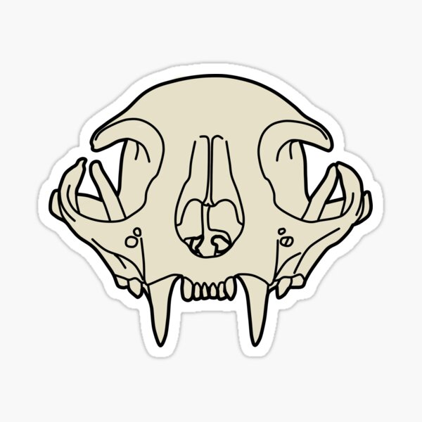 "cat skull" Sticker for Sale by daisy-sock | Redbubble