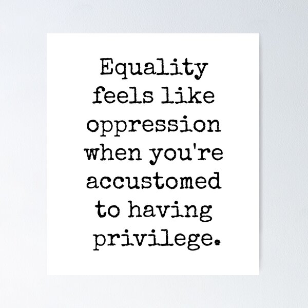 "EQUALITY OPPRESSION PRIVILEGE" Poster for Sale by herizon | Redbubble