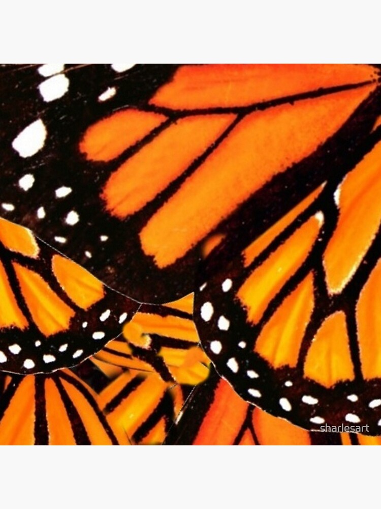 "MONARCH BUTTERFLY WING PATTERNS ART" Photographic Print for Sale by ...