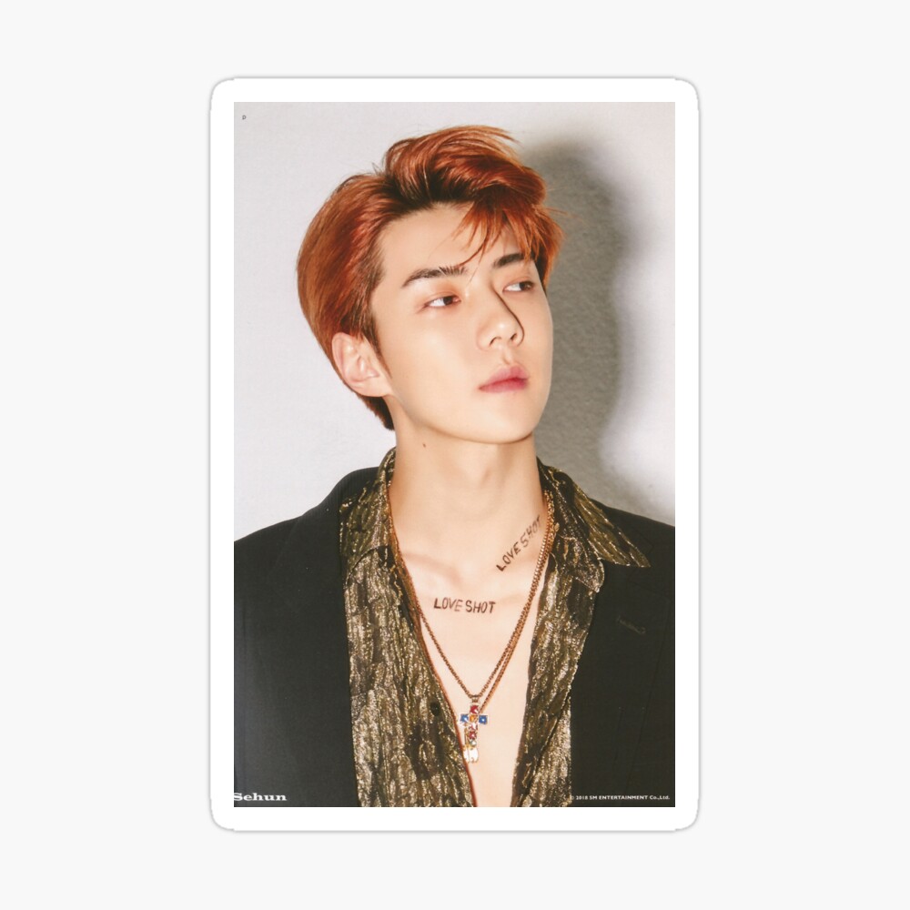 Sehun Brown Hair