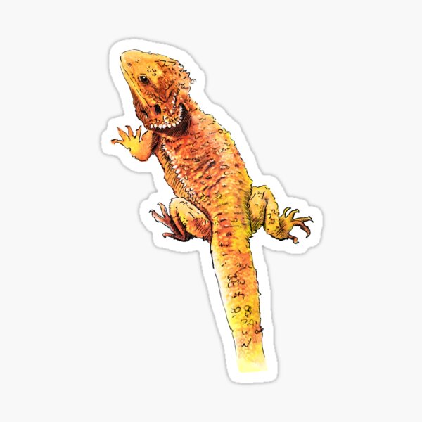"Bearded Dragon Sticker #1" Sticker by InsideNature | Redbubble