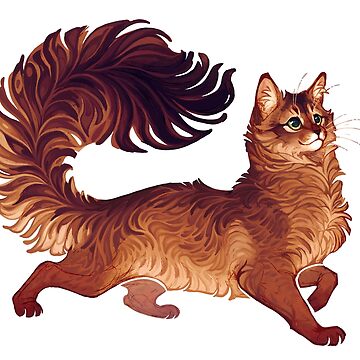"somali cat" Sticker for Sale by Giulialibard | Redbubble