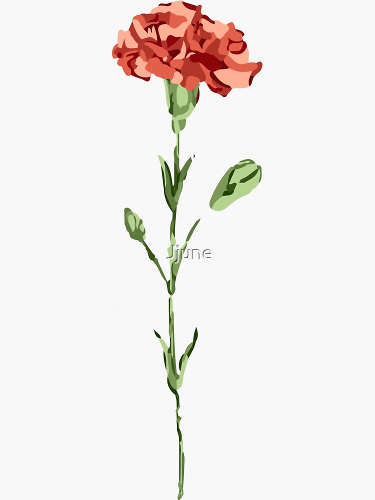 "Simple and Elegant Carnation Design" Sticker for Sale by Jjune | Redbubble