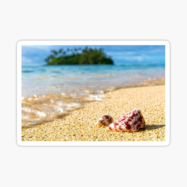 "Shell Tide" Sticker for Sale by AdrianAlford | Redbubble