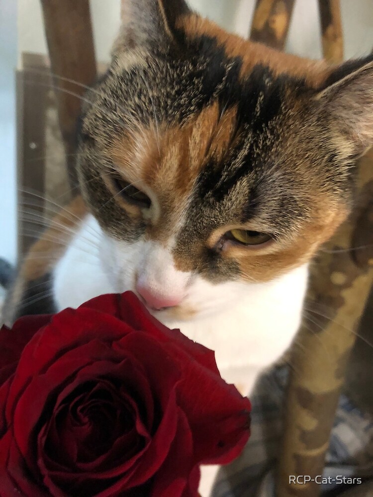 "Calico Cat with Rose" by RCP-Cat-Stars | Redbubble