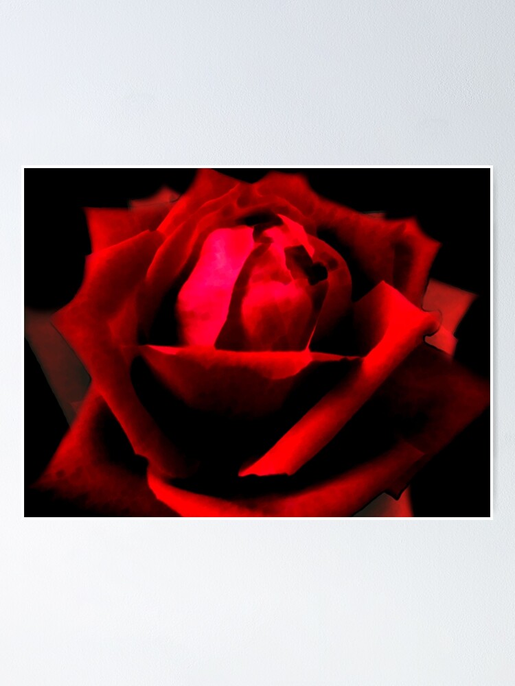 "Dramatic Red Rose Flower Floral Decor Modern Art A589" Poster for Sale ...