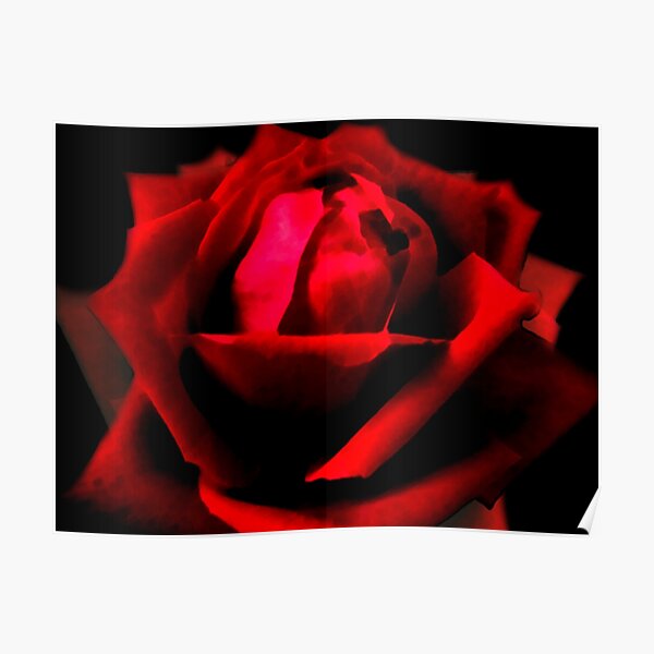"Dramatic Red Rose Flower Floral Decor Modern Art A589" Poster for Sale ...