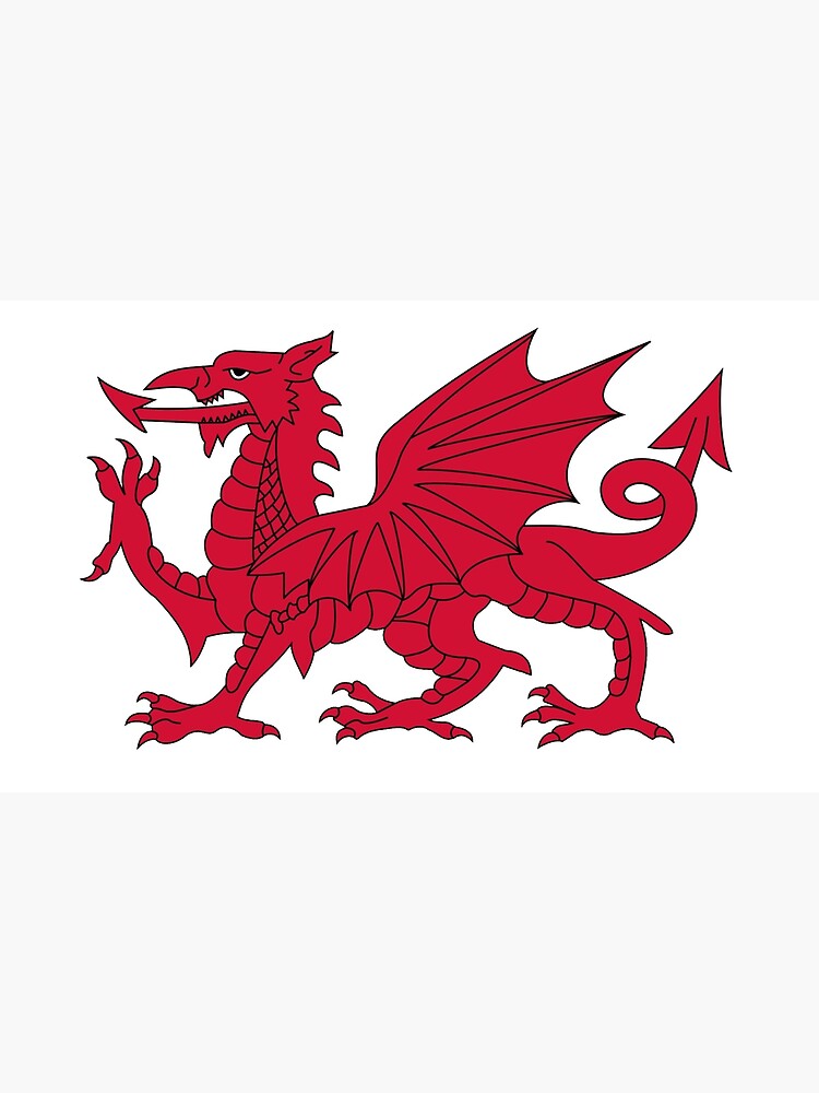 "Welsh Dragon (Simple)" Canvas Print for Sale by habast | Redbubble