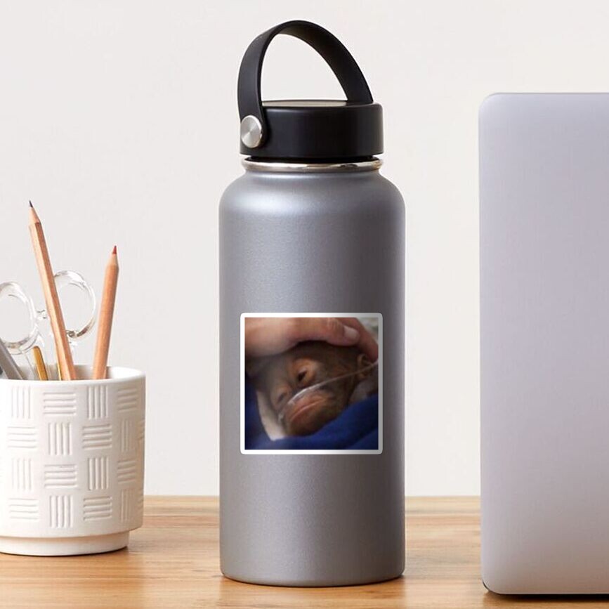 Pegatina «meme mono enfermo» de adxlescent | Redbubble