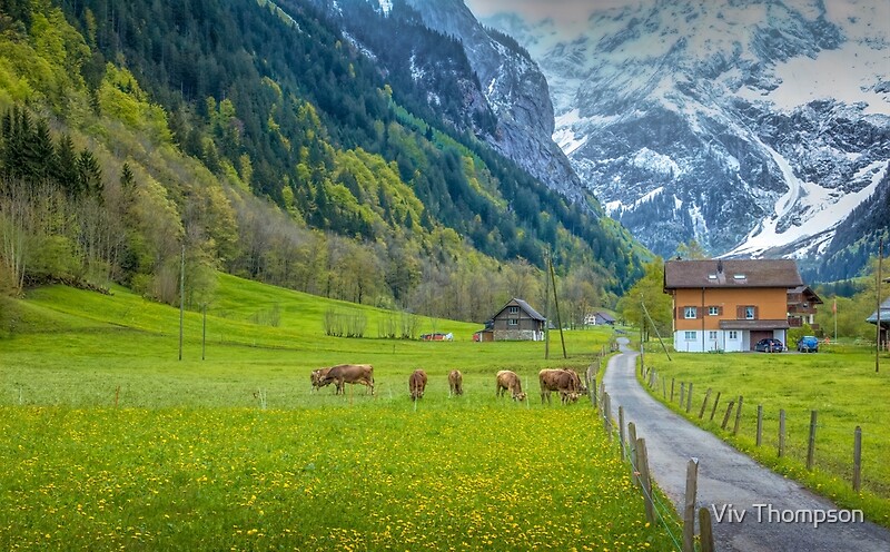 "Swiss Farmland" by Viv Thompson | Redbubble