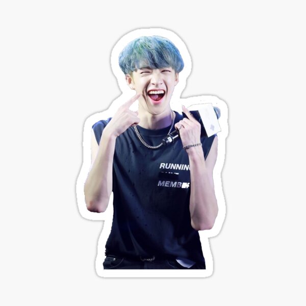 "Cute Stray Kids Chan " Sticker for Sale by tornado1168 | Redbubble