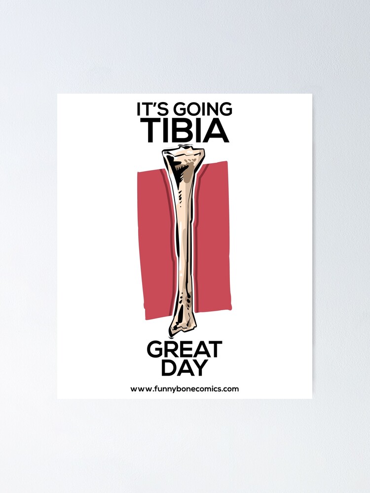 "It's Going Tibia a Great Day Funny Bone Cartoon " Poster for Sale by ...