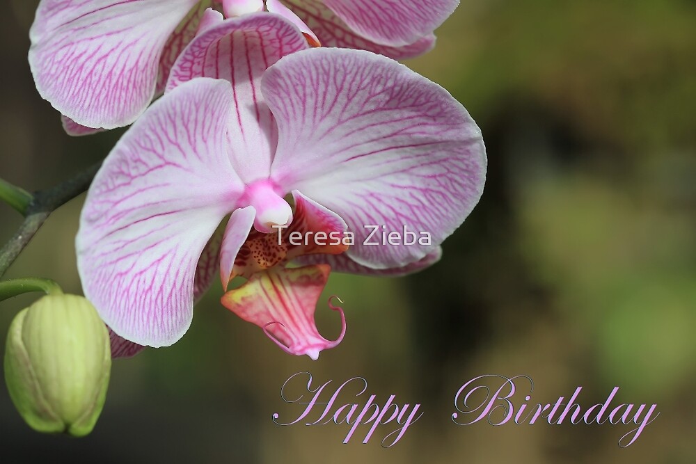 "Happy Birthday Orchid Card" by Teresa Zieba | Redbubble
