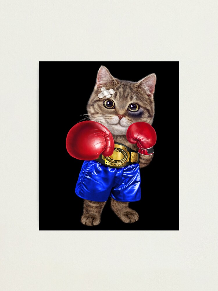 "Boxer Tabby Cat as Boxing Champion" Photographic Print for Sale by Fox ...