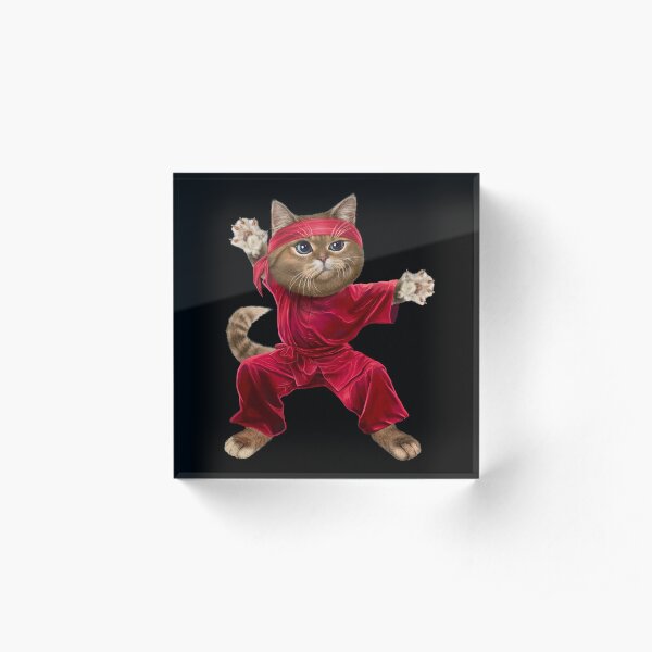 "Shaolin Cat in Chinese Wushu Stance, Kung Fu Martial Art " Acrylic ...