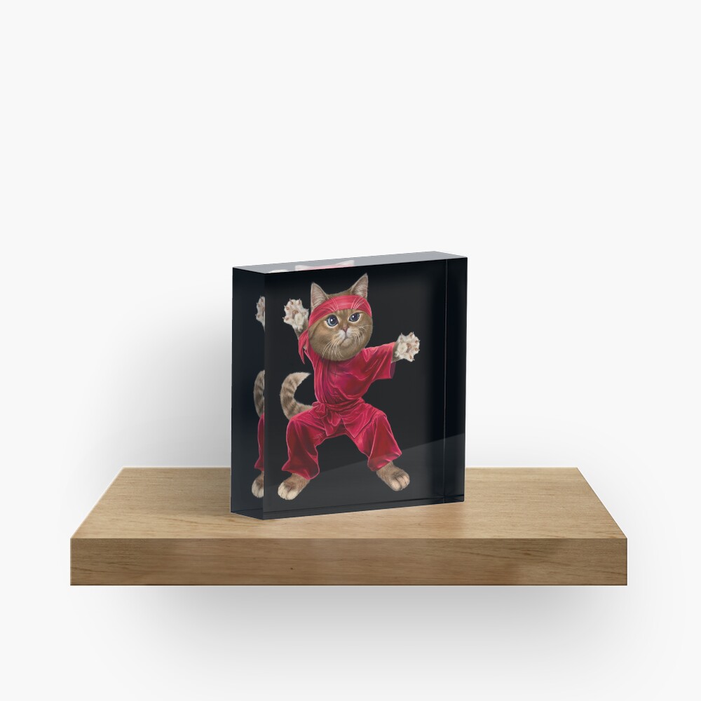 "Shaolin Cat in Chinese Wushu Stance, Kung Fu Martial Art " Acrylic ...