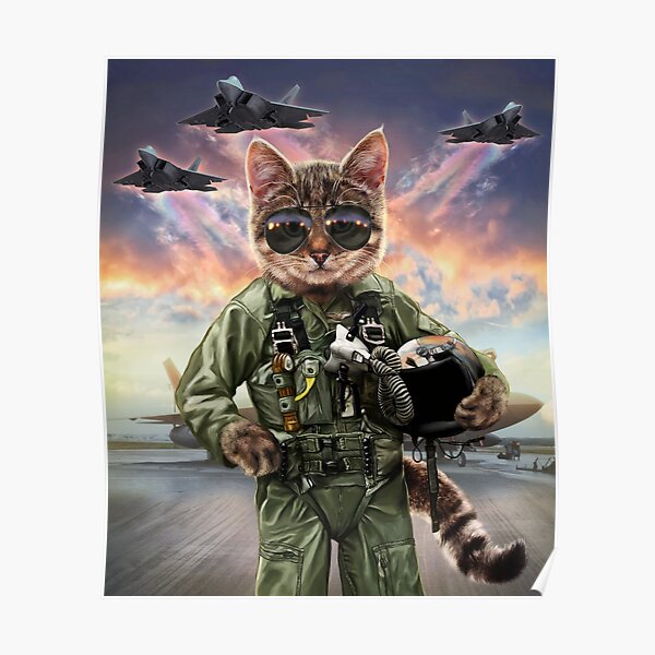 "Cat as Air Force Jet Fighter Pilot" Poster for Sale by Fox-Republic ...