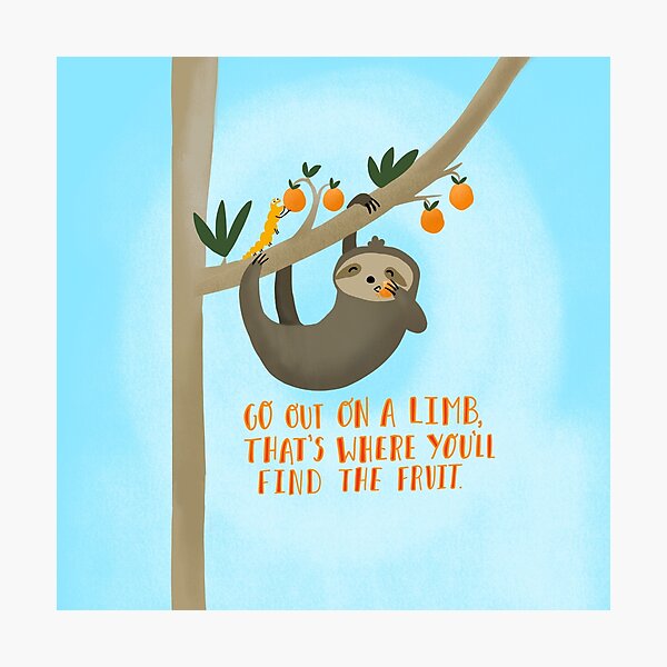 "Sloth Quote" Photographic Print for Sale by Anna Fox | Redbubble
