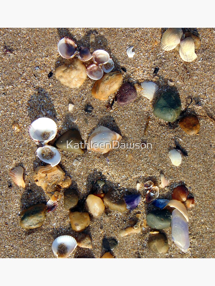 "shells and pebbles" Sticker for Sale by KathleenDawson | Redbubble