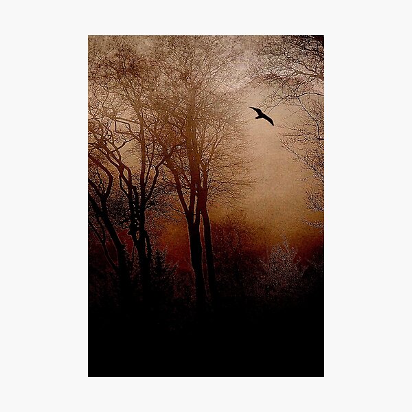 Thither Gifts & Merchandise | Redbubble