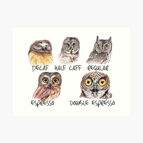 "Owl Caffeine Scale - funny coffee owls" Art Print for Sale by HollySimental | Redbubble