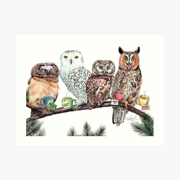 "Tea Owls " Art Print for Sale by HollySimental | Redbubble