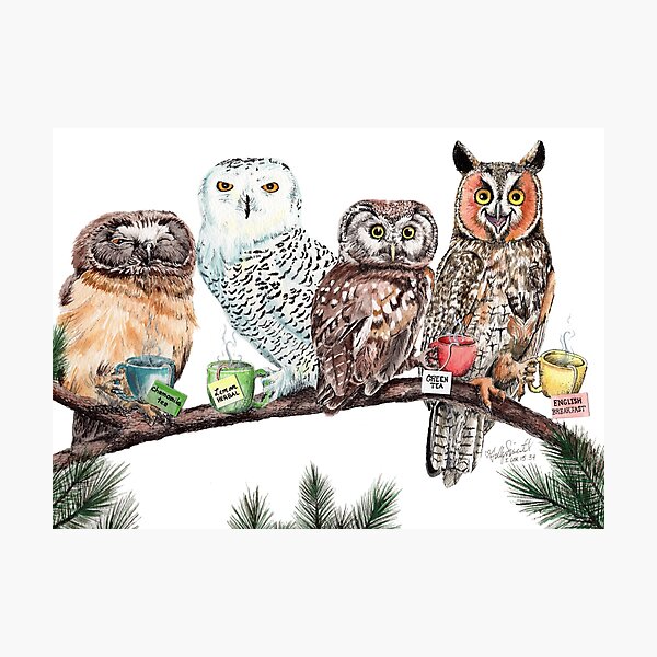 "Tea Owls " Photographic Print for Sale by HollySimental | Redbubble