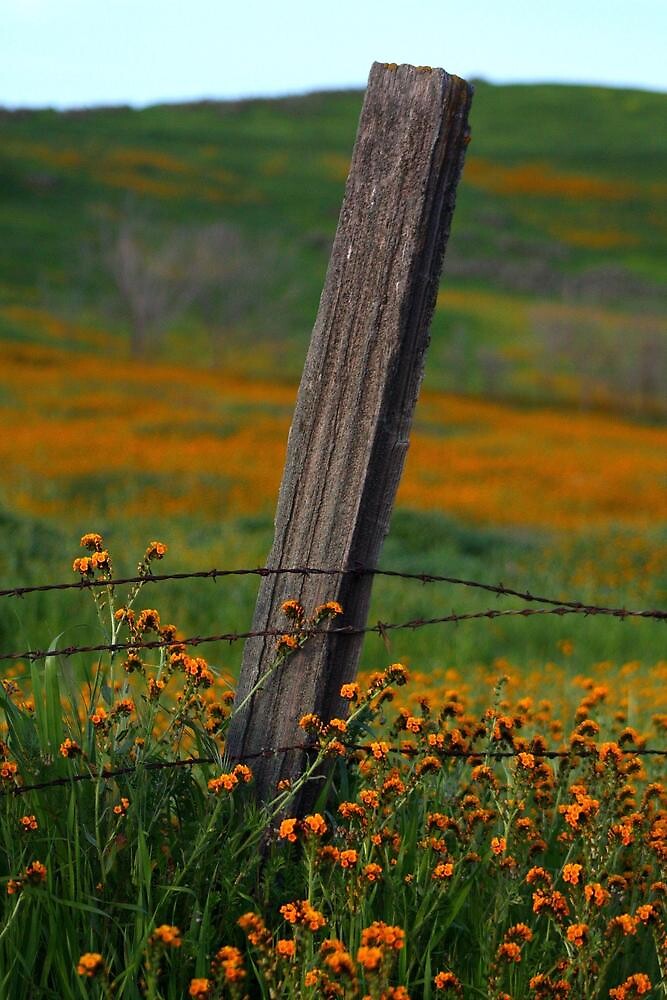 "Old Fence Post and Spring Wildflowers" by wademcmillan | Redbubble
