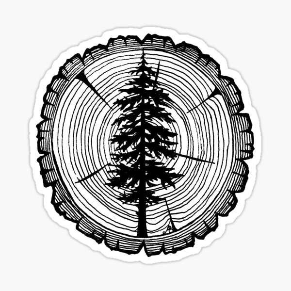 "Sitka Tree Silhouette - Original pen and ink illustrated design ...