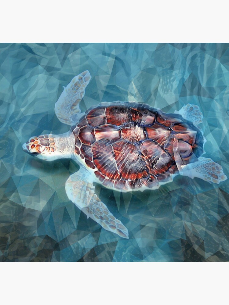 "Sea Turtle, Loggerhead Turquoise Waves" Sticker by Heathermarie321 ...