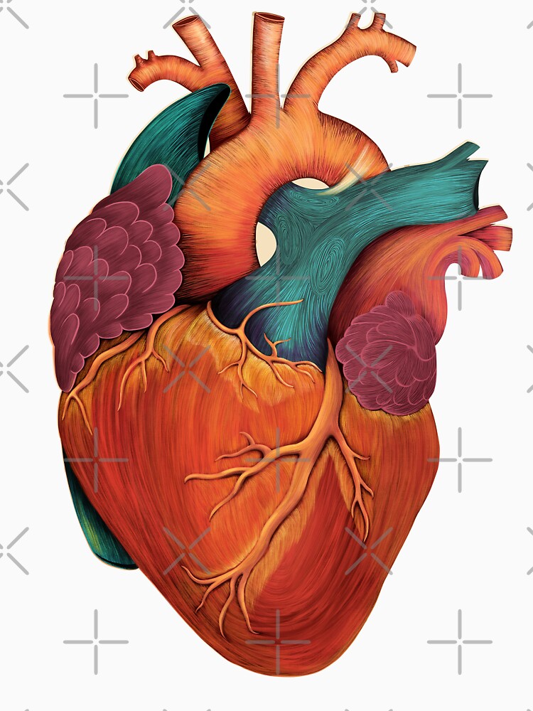 "Anatomical Human Heart - Textbook Colors" T-shirt for Sale by fayee8 ...