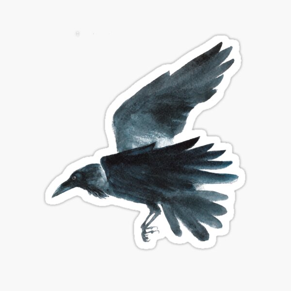 "Watercolor raven in flight" Sticker for Sale by Uroboros-a | Redbubble