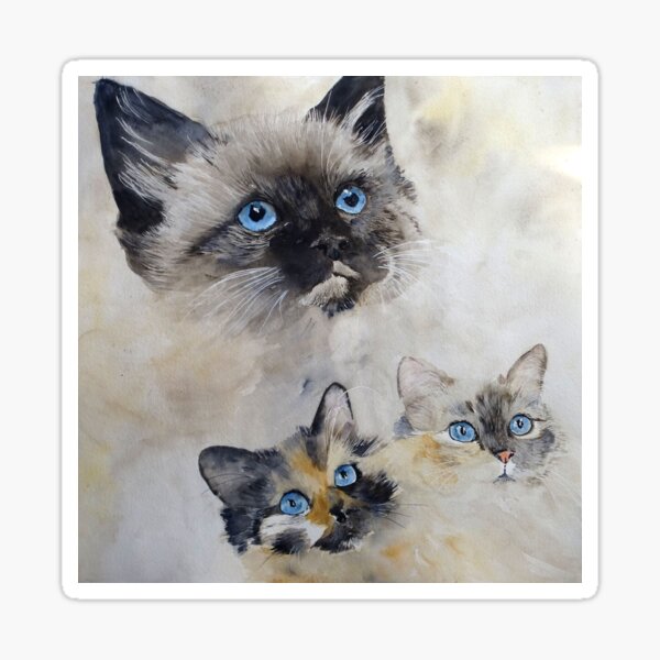 "Burmese cat" Sticker by Joelleguillaume | Redbubble