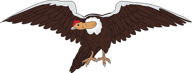 "Condor" by wickedcartoons | Redbubble